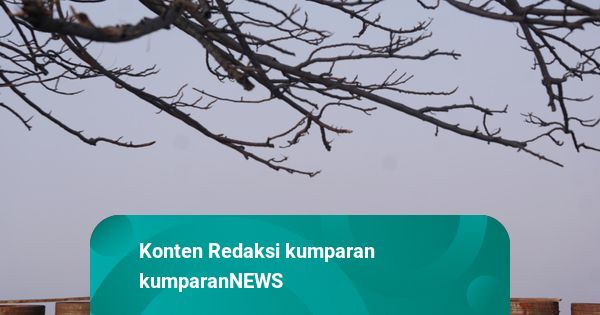 BMKG: Waspada, Sebagian Wilayah Indonesia Masuk Puncak Kemarau pada ... BMKG: Waspada, Sebagian Wilayah Indonesia Masuk Puncak Kemarau pada ...